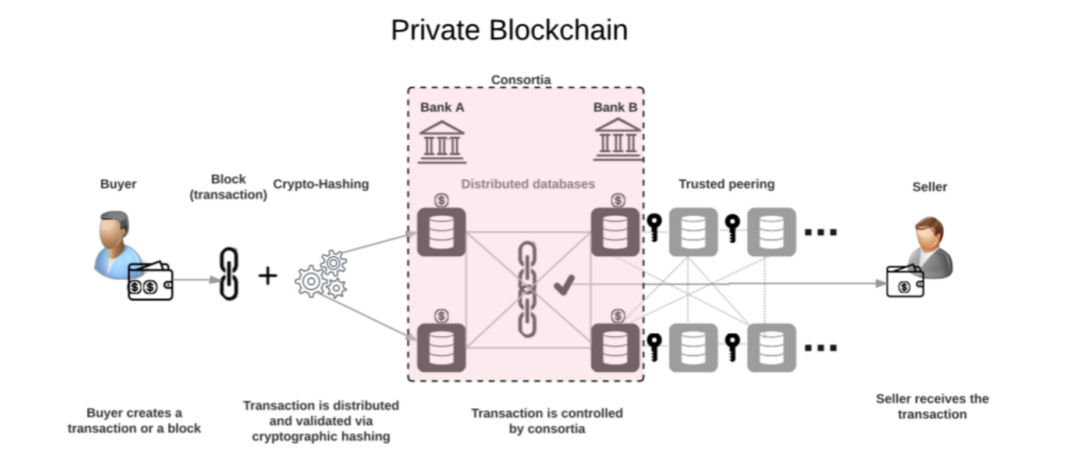 Significance of Permissioned Blockchains – Cashapona