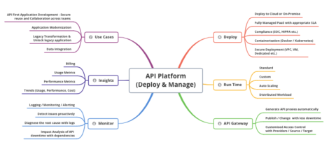 Point of View on API Platforms – Cashapona